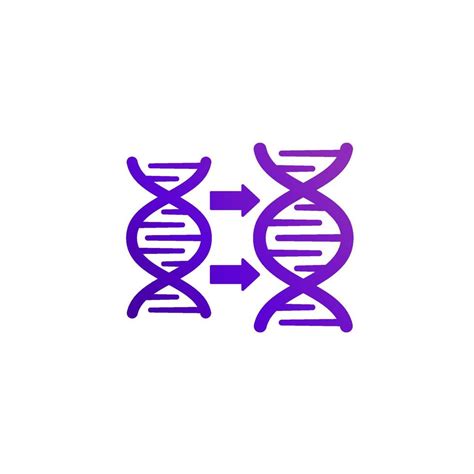 Dna Replication Icon On White 14337236 Vector Art At Vecteezy