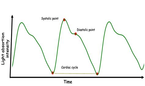 An Example Of A Filtered Ppg Signal Download Scientific Diagram