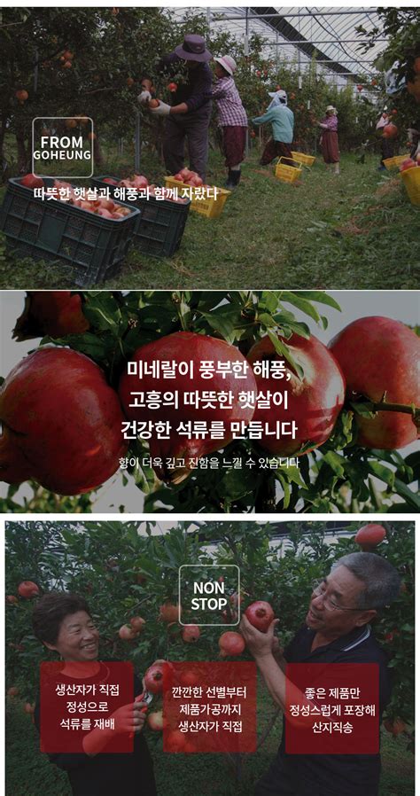 하루 한 번 석류생각 협력사제품 농업회사법인㈜ 농부누리