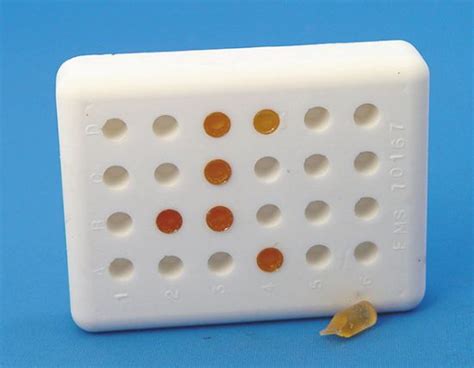 The Cell Culture Mold