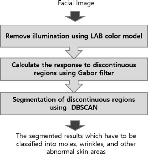 Figure 1 From Detection Of Abnormal Region Of Skin Using Gabor Filter