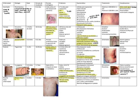 Enfermedades Exantematicas Pediatra Cuadro Comparativo Infectología Y