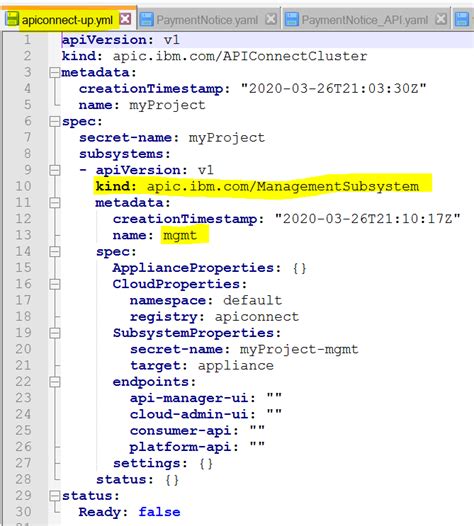 Installing Ibm Api Connect V201841x On Vmware