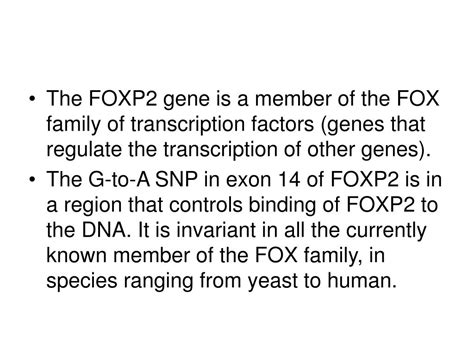 Ppt Foxp2 The Language Gene Powerpoint Presentation Free Download Id 997182
