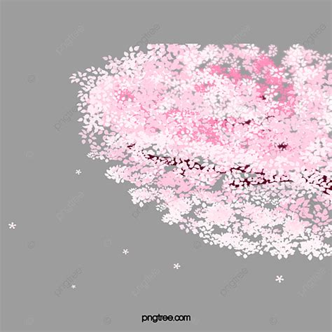 맑고 아름다운 벚꽃 일러스트 핑크 나무 클립 아트 신선한 아름다운 벚꽃 Png 일러스트 및 Psd 이미지 무료 다운로드 Pngtree