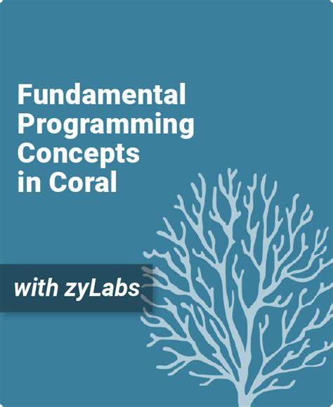 Programming In Python 3 Zybooks