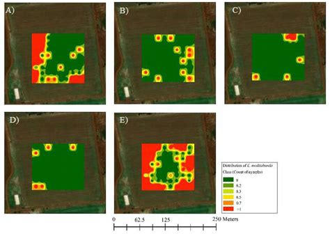 Surface Maps Constructed Based On Inverse Distance Weight Idw