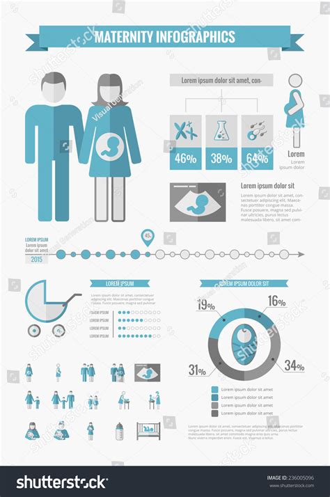 Vector Maternity Infographic Elements Infographic Template For