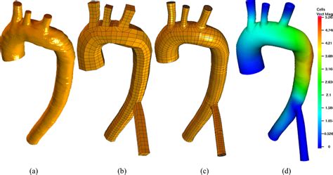 Thoracic Aorta A Surface Geometry B Control Mesh C Solid Download Scientific