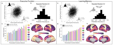 Functional Topography Of Association Networks Predicts Individual Download Scientific Diagram
