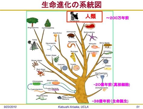 Origin Of The Universe Life And Consciousness