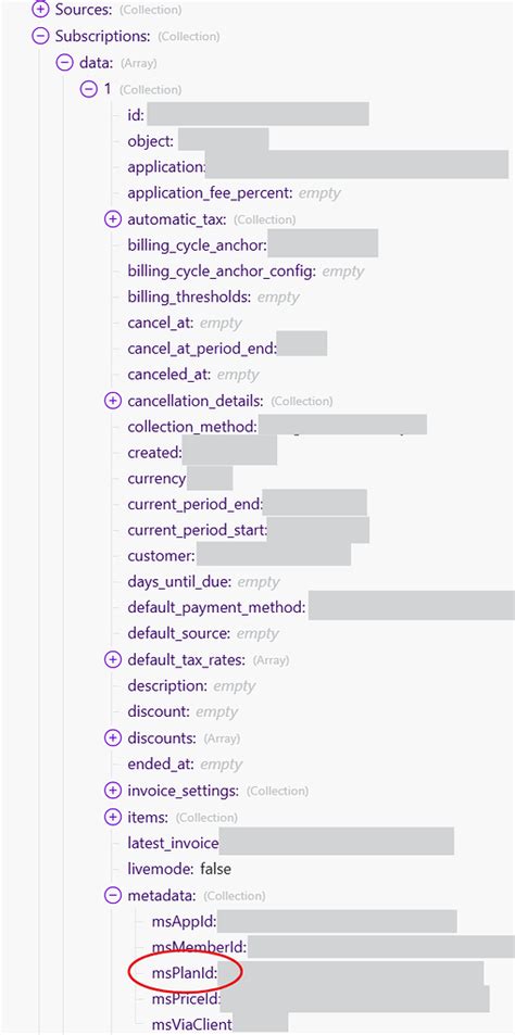 Grabbing Subscription Metadata From Stripe How To Make Community