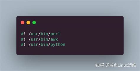 关于 Bash 脚本中 Shebang 的趣事 知乎 关于 Bash 脚本中 Shebang 的趣事 知乎