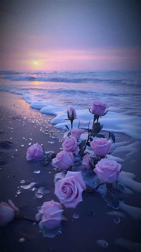 Pin by Анна Круг on розы | Flowers photography wallpaper, Pretty ...