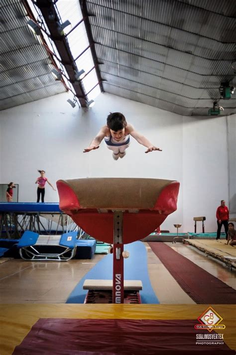 Aparatos De La Gimnasia ArtÍstica Masculina