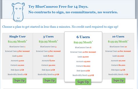 Internal Users Versus External Users