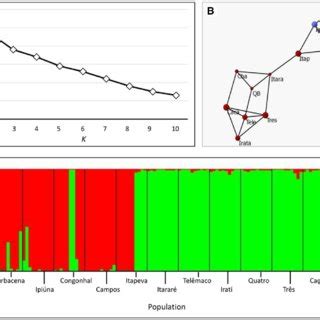 Analyses Of Population Structure Bayesian Based A Spatial Analysis Download Scientific