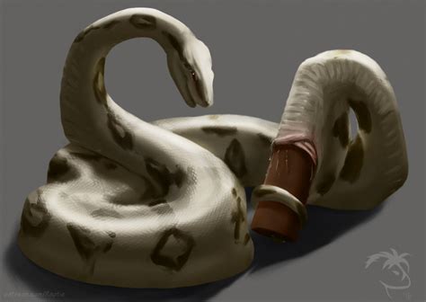 Rule 34 1girls 2018 Animal Genitalia Blush Boa Snake Boa Constrictor Bodily Fluids Boinae