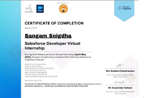 Sangam Snigdha On Linkedin Salesforcedeveloper Internship Developer Salesforce