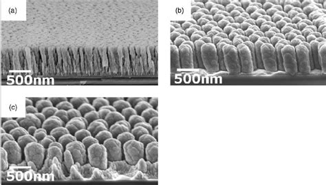 15° Tilted Cross Sectional Sem Micrographs Of Si Nanocolumns A Download Scientific Diagram