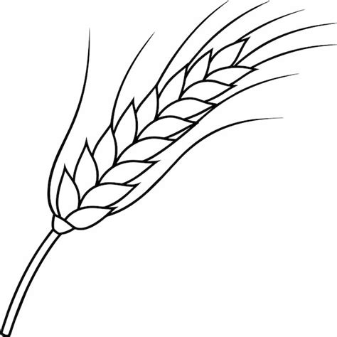 A Drawing Of A Wheat Head With A Drawing Of A Wheat Premium Ai