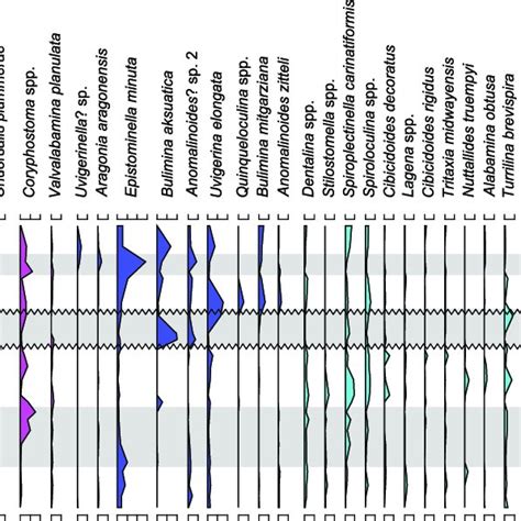 Relative Abundance Patterns Of Benthic Foraminifera Through The Download Scientific Diagram