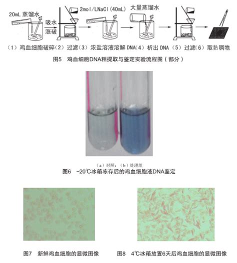 全国中小学实验在线平台