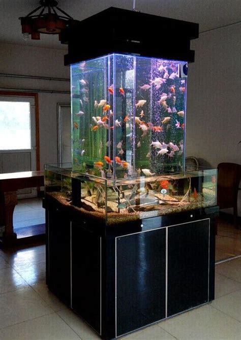 養魚先養水 每日頭條