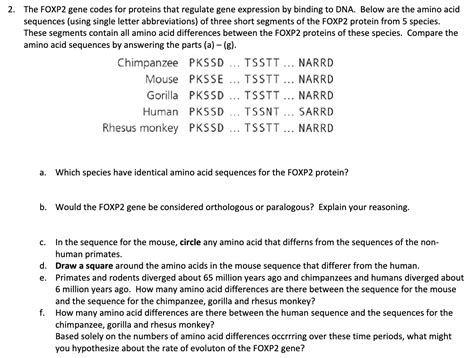 Solved The Foxp2 Gene Codes For Proteins That Regulate Gene