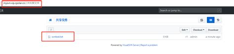 Windows系统如何安装与使用tortoisesvn客户端，并实现在公网访问本地svn服务器svn 客户端 Csdn博客