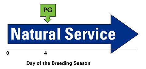 Minimizing Synchronization Costs