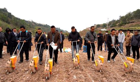 党建引领，科技赋能，旱地稻香润民心 植物保护学院