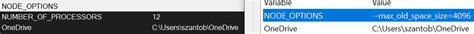 node js node options environment variable value not present in vs code stack overflow