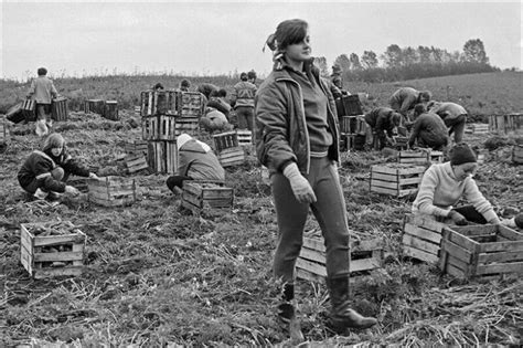 Осенний СССР / Назад в СССР / Back in USSR