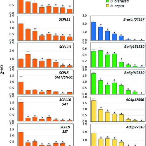 The Abundance Of Scpl Transcripts In Response To Uv B Exposure The Download Scientific Diagram
