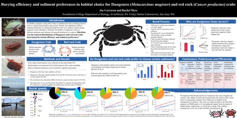 Crab Poster Ppt
