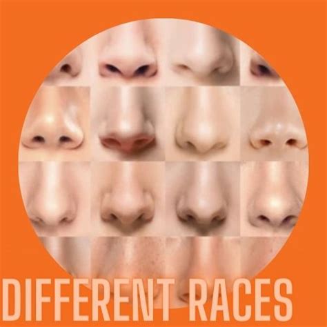 Why Do Black People Have Big Noses [must Read]