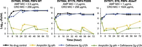 Differential In Vitro Susceptibility To Ampicillin Ceftriaxone Combination Therapy Among