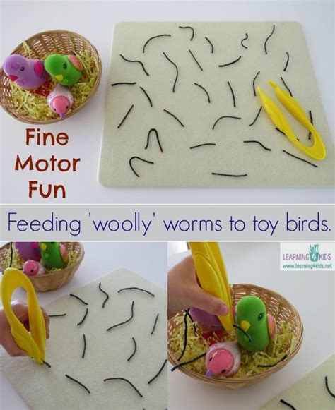 Birds And Worms Activity