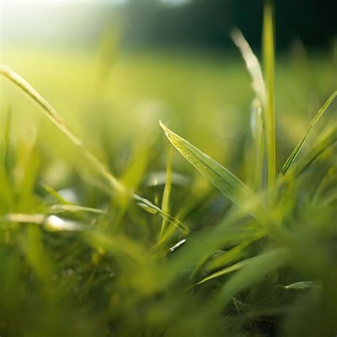 Premium Ai Image Grass Ai