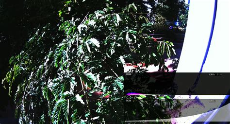 5 Results And Discussions Radhikahortidynamic Display Of Histogram And Tone Curve Github Wiki