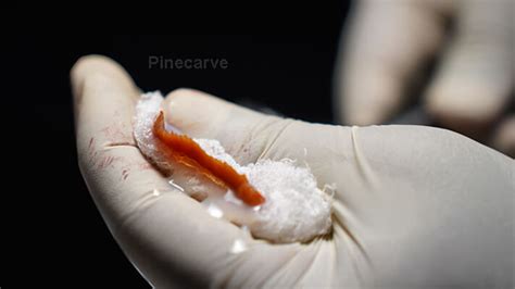 How To Clean Polyurethane Brush Photo Guide Pinecarve