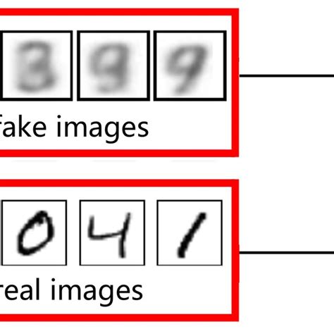 Semi Weakly Supervised Semantic Segmentation Network Semi Ssn Download Scientific Diagram