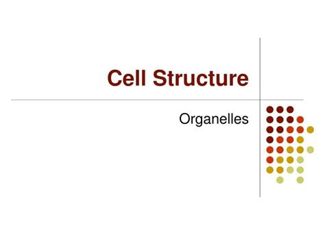 PPT Cell Structure PowerPoint Presentation Free Download ID