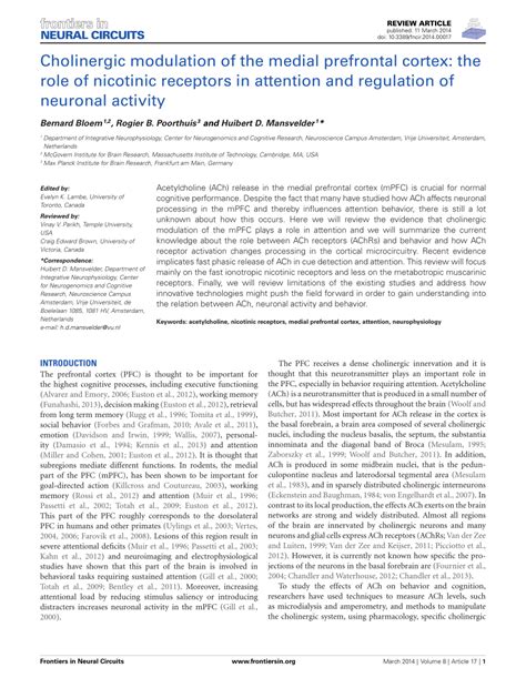 Pdf Cholinergic Modulation Of The Medial Prefrontal Cortex The Role Of Nicotinic Receptors In