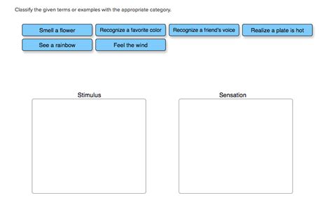 Solved Classify The Given Terms Or Examples With The