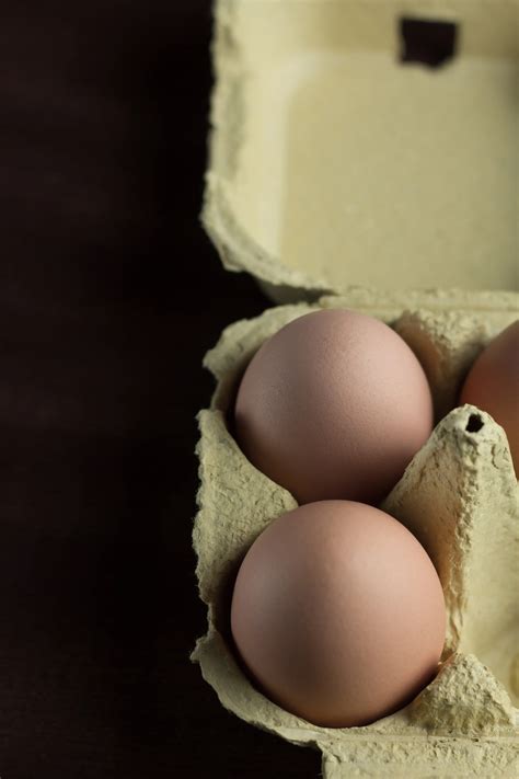 Bio Eier Frisch Aus Niederösterreich Kaufen