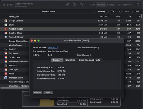 your system has run out of application memory error received in macos