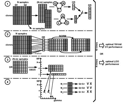 Figure 1 From Supervised Classification Of Array Cgh Data With Hmm Based Feature Selection