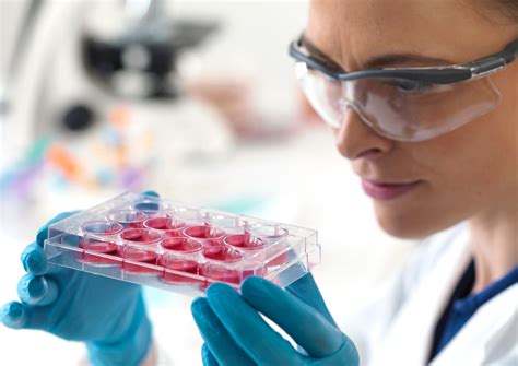 Memahami Terapi Stem Cell Apa Itu Dan Bagaimana Cara Kerjanya Jakarta Stemcell Centre